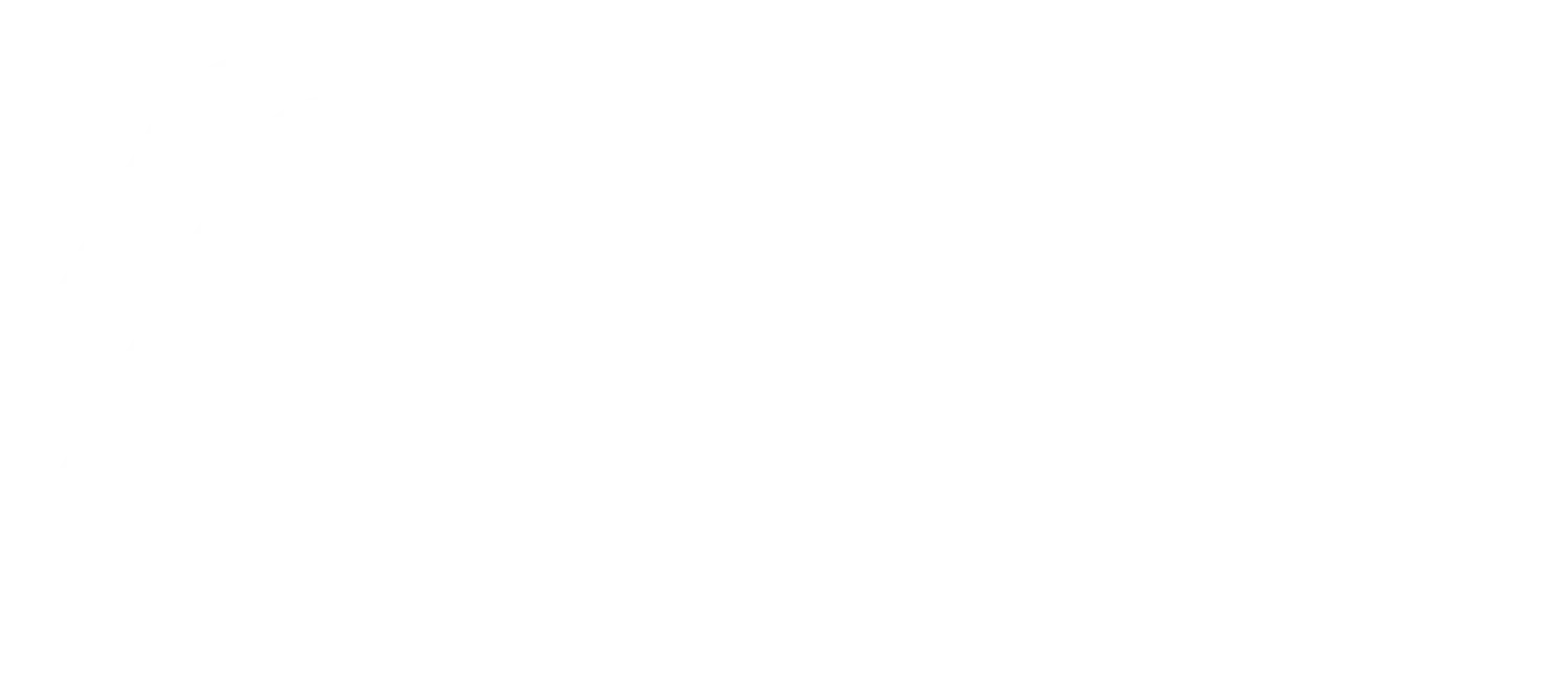 Services - Fuzion Mobile Tint